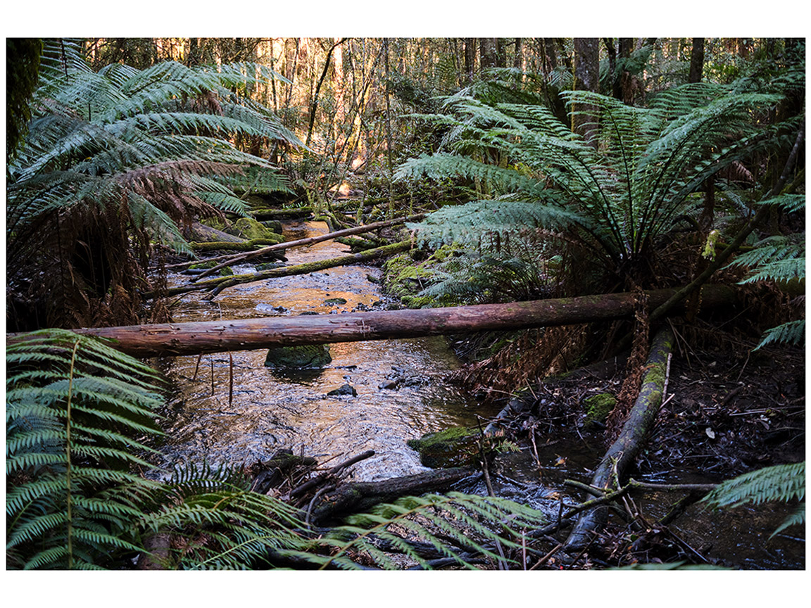 Tasmania – Kate Morris | Photographer